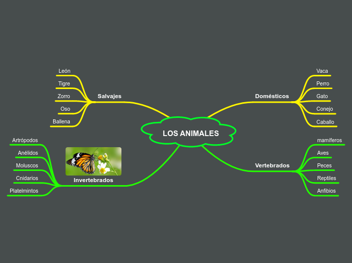LOS ANIMALES - Mind Map